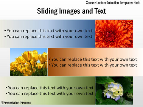 Picture and Text Layout in PowerPoint